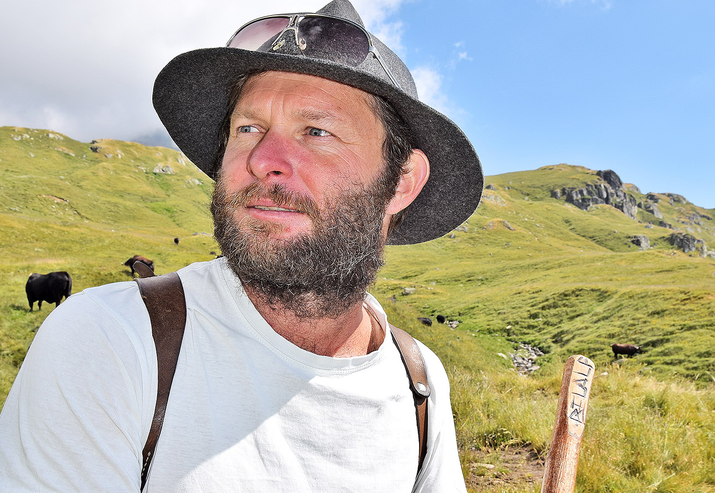 Der Kuhmasseur von der Belalp | 1815.ch