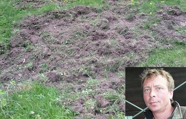Thomas Imboden: «Das Oberwallis ist für diese Tiere eigentlich kein ...
