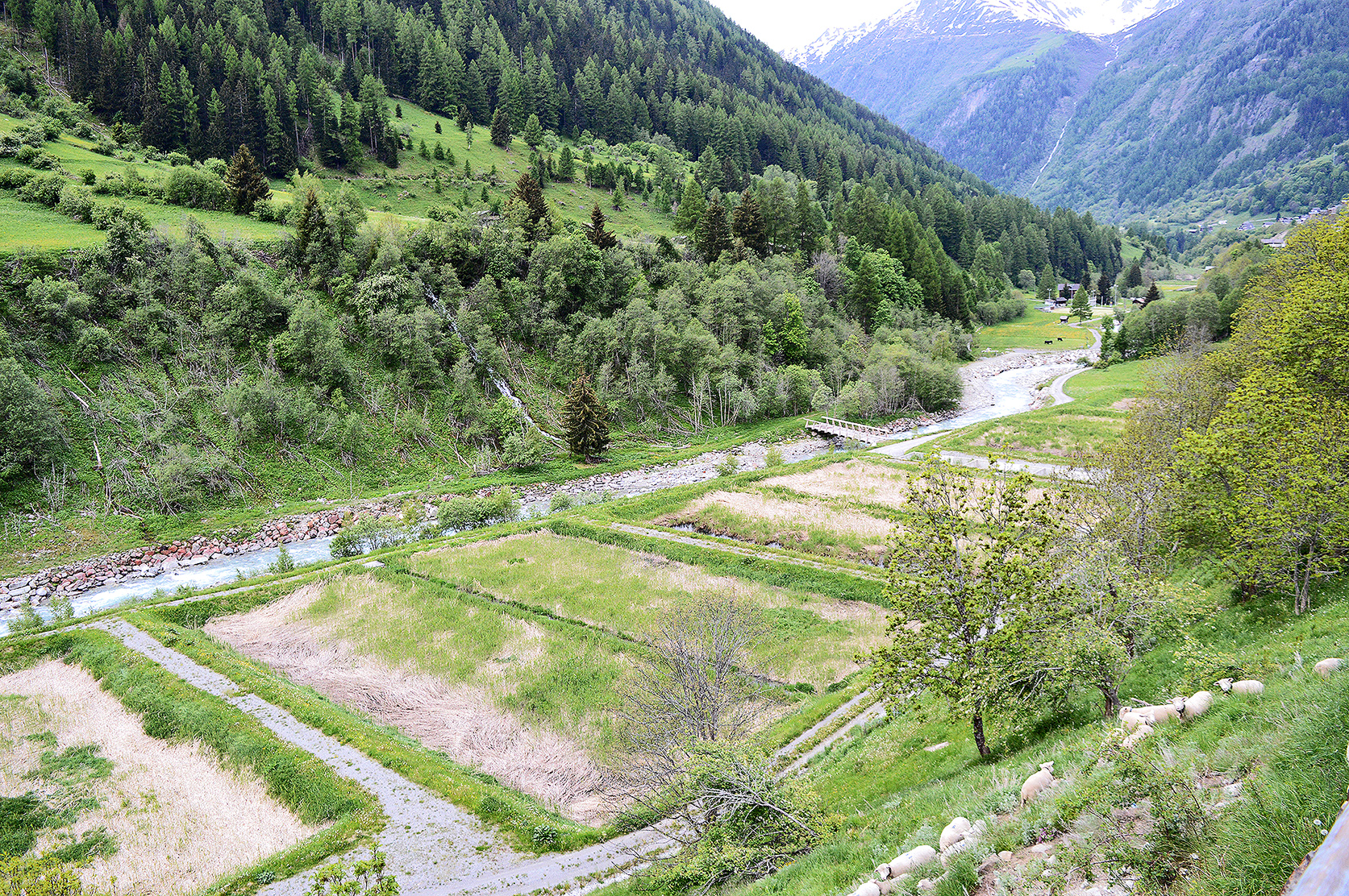 Das grosse Schweigen rund um die Wiler Kläranlage | 1815.ch