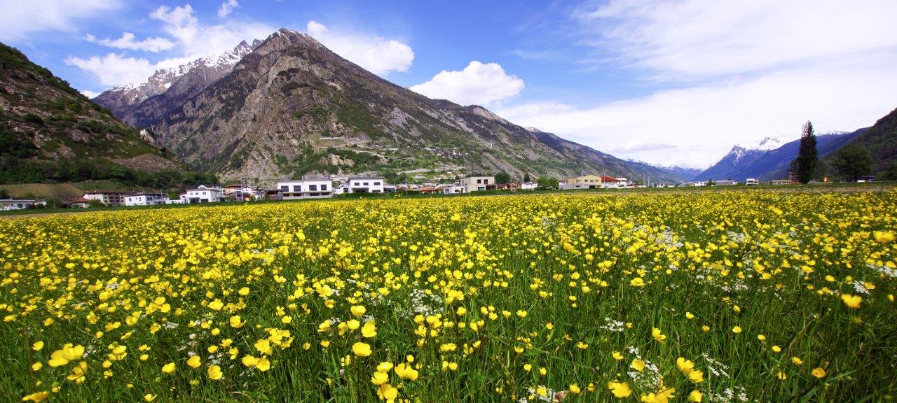 Das Wetter bleibt launisch | 1815.ch