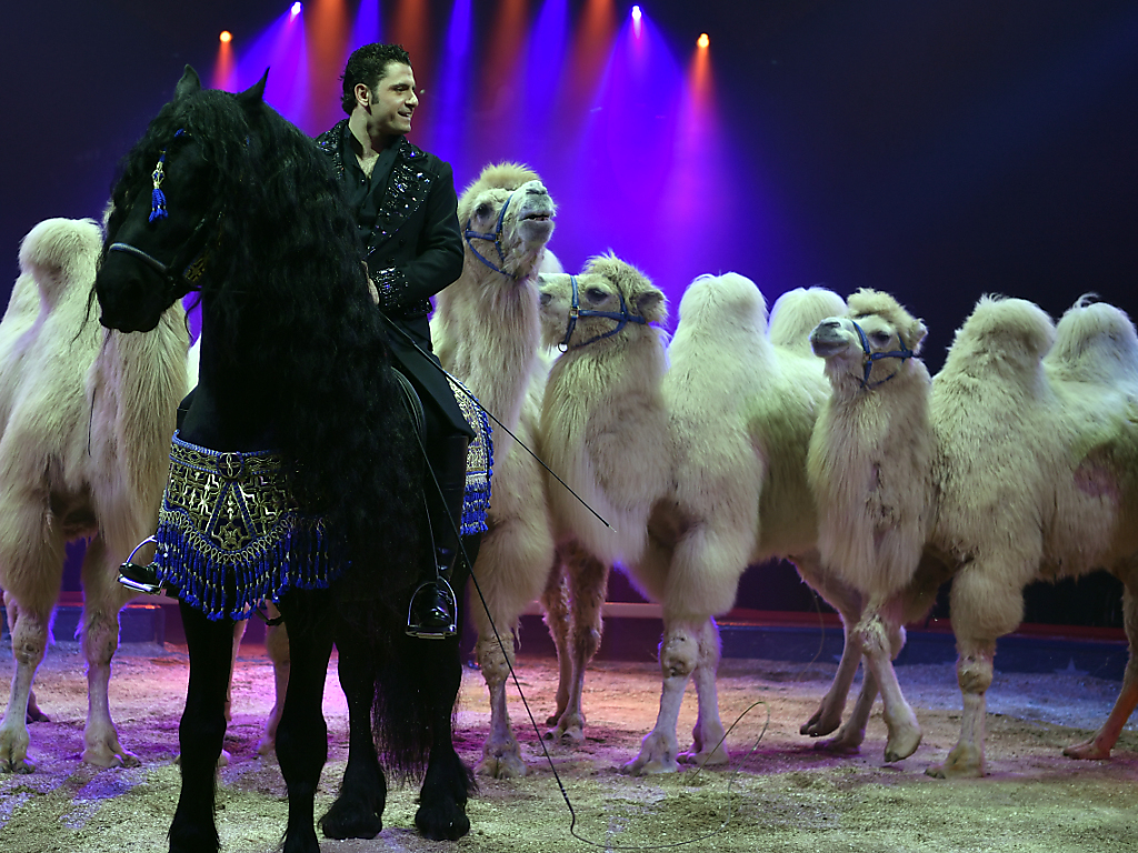 Die Schweiz darf sich auf eine emotionale Zirkus-Saison freuen | 1815.ch