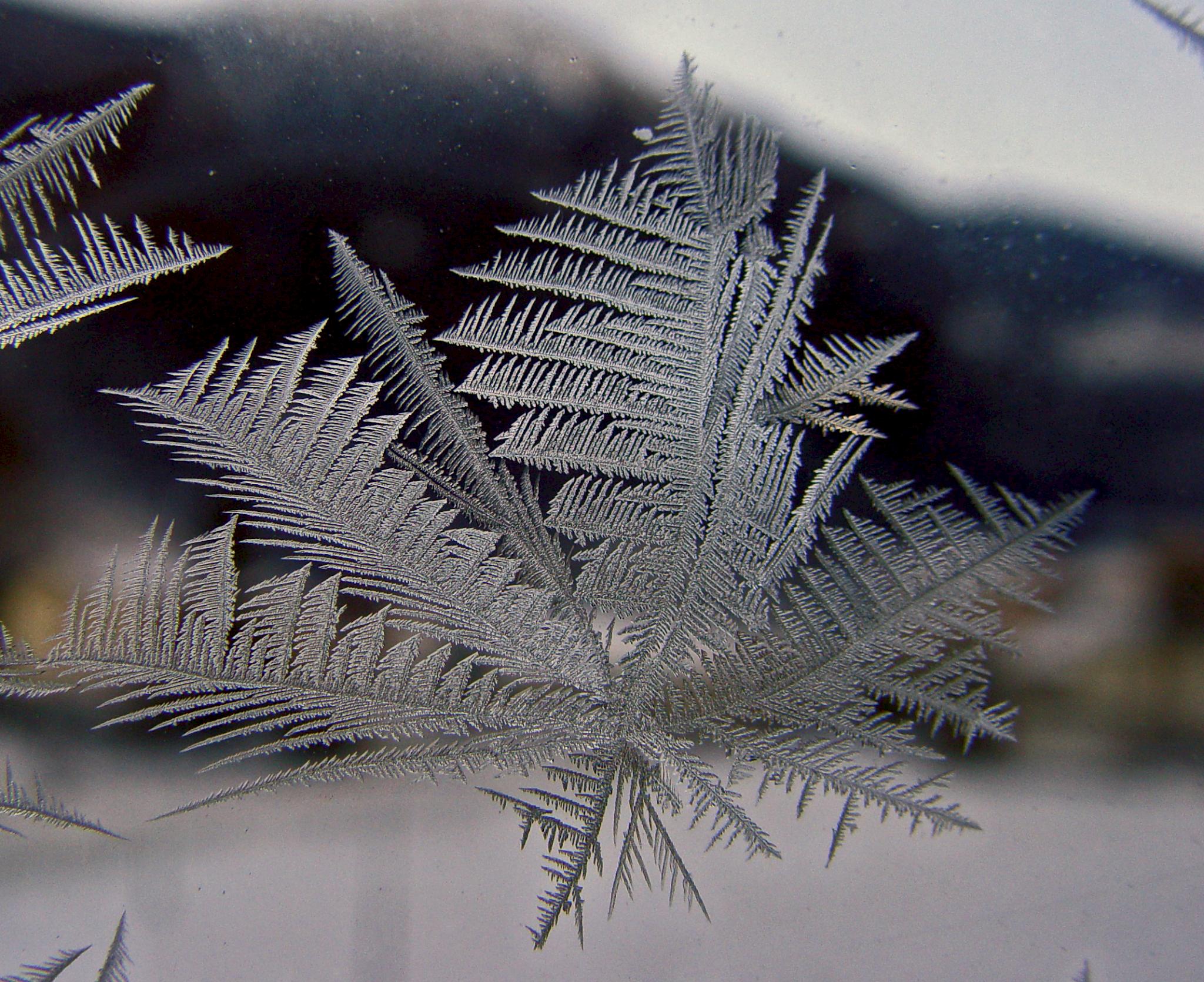Wintermonate statistisch gesehen leicht wärmer als im Durchschnitt ...