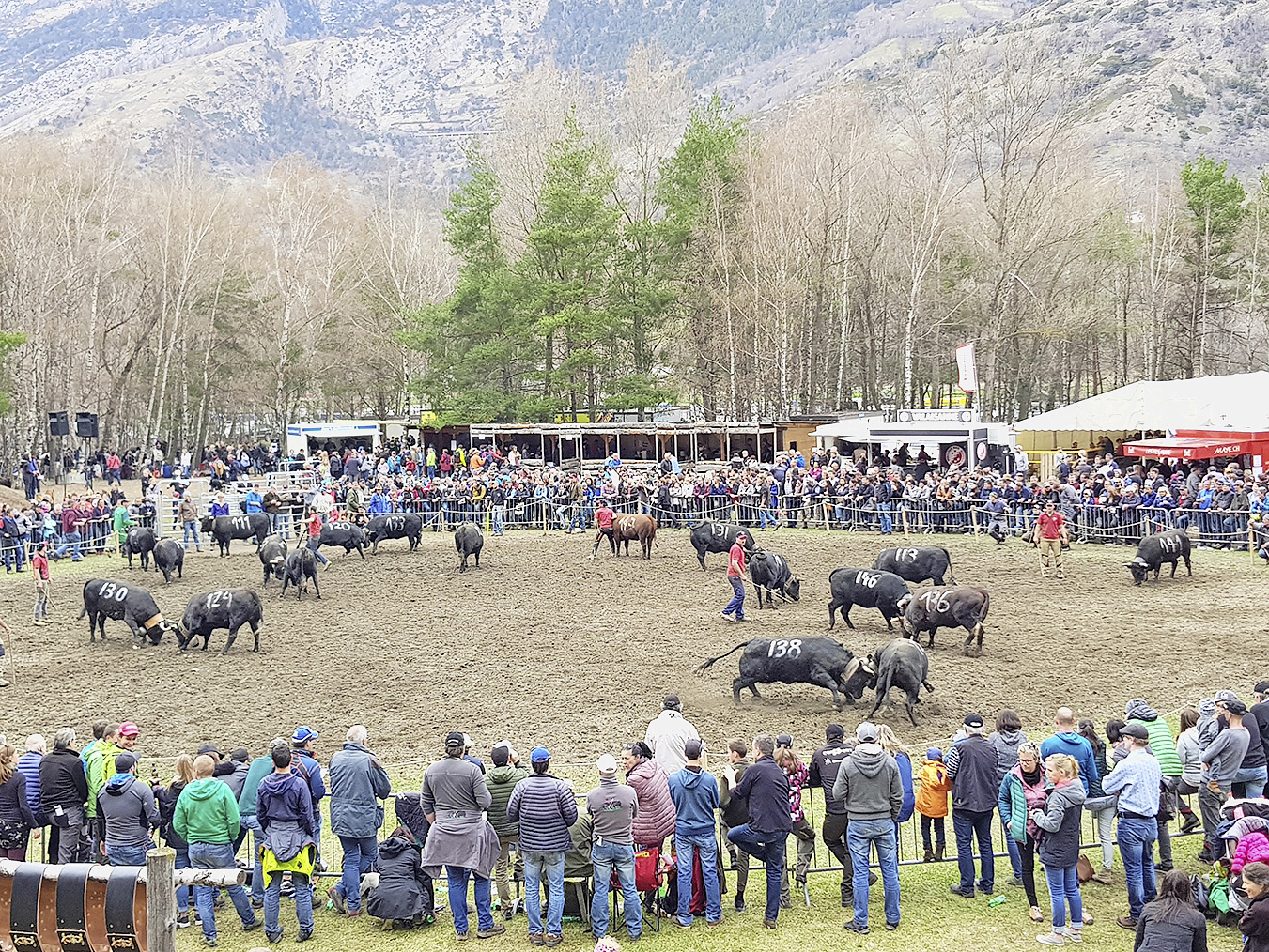 Das Herz der Goler-Gründer schlägt für Raron | 1815.ch