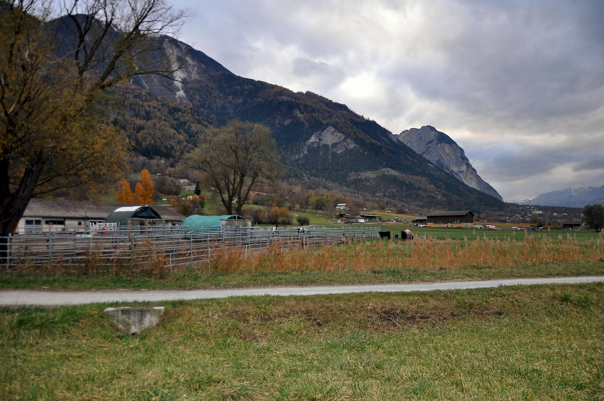 Hühnerfarm in Agarn? | 1815.ch